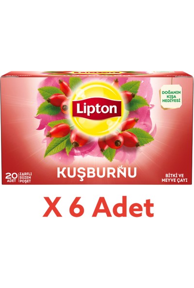 Lipton Kuşburnu Karışık Süzen Bardak Poşet Bitki Çayı 20LI x 6 Adet Lipton Kuşburnu Karışık Süzen Bardak Poşet Bitki Çayı 20LI x 6 Adet