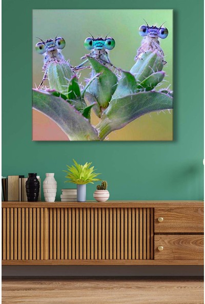 Fupe Shop Çekirge - 107709 - Dekoratif Duvar Kanvas Tablo