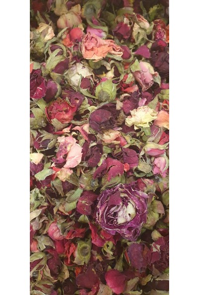 Alaca Tomurcuk Gül Korusu Karışık 100 gr