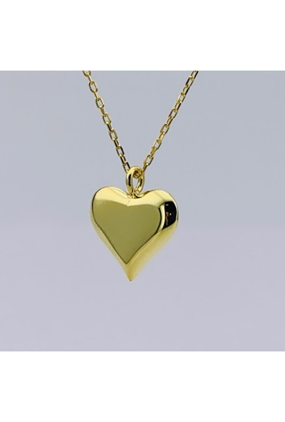 Butik Gümüş Klasik Kalp Kolye