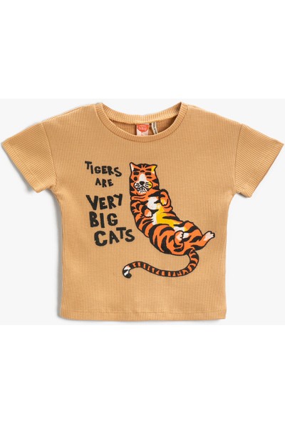 Koton Erkek Bebek Kaplan Baskılı Kısa Kollu Tişört Pamuklu