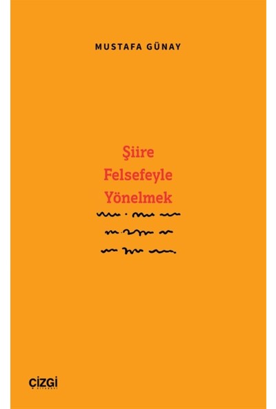 Şiire Felsefeyle Yönelmek - Mustafa Günay
