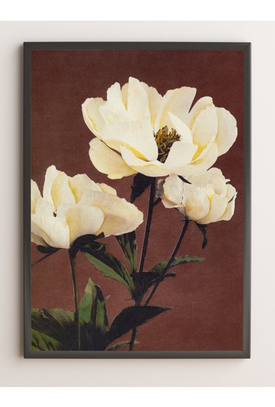 Duo Shop Sarı Çiçekler Poster - Yüksek Çözünürlük Hd Duvar Posteri - Çerçevesiz