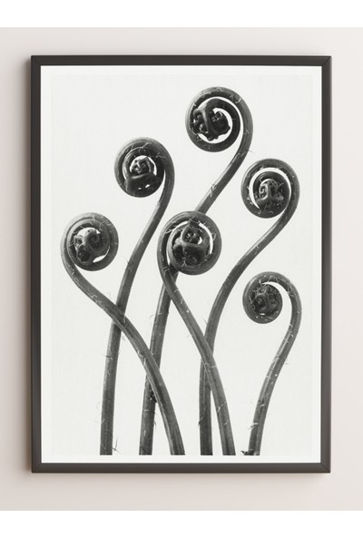 Duo Shop Henri Matisse Poster - Yüksek Çözünürlük Hd Duvar Posteri - Çerçevesiz