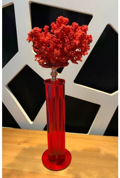 Kırmızı Kristal Ayaklı Kırmızı Doğal Mercan Büyük