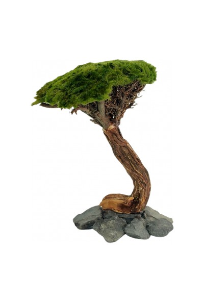 Ağaç Figürü Moss Sarılı 'l'