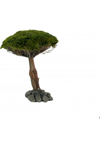 Ağaç Figürü Moss Sarılı 'm'
