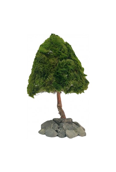 Çam Ağacı Figürü Moss Sarılı 'l'