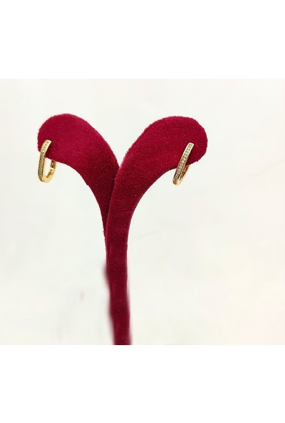 Ey Fashion Zirkon Taşlı Özel Tasarım Altın Kaplama Küpe