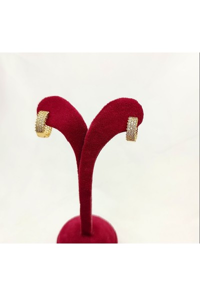 Ey Fashion Zirkon Taşlı Özel Tasarım Altın Kaplama Küpe