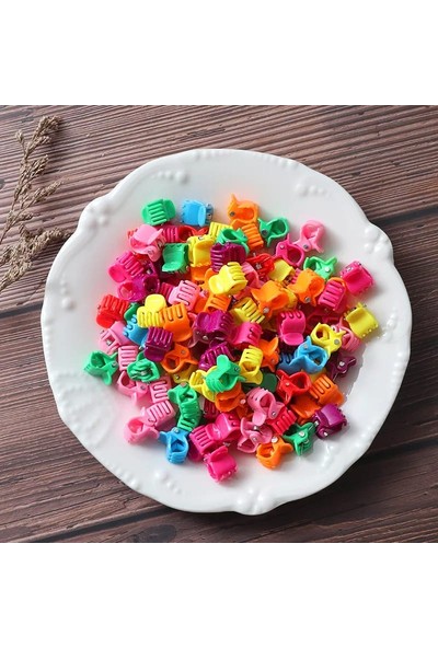 Alyeska 24 Adet Minik Mandal Toka