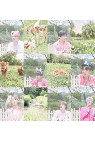 Kpop Bts Cottagecore Faırycore Poster Duvar Kağıdı Seti Kpop Bts Cottagecore Faırycore Poster Duvar Kağıdı Seti