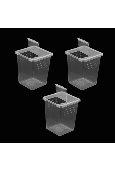 Kesoto 3x Plastik Böcek Kertenkele Örümcek Habitat Besleme Kutusu Konteyner 8X8X11 cm 3 Adet (Yurt Dışından) Kesoto 3x Plastik Böcek Kertenkele Örümcek Habitat Besleme Kutusu Konteyner 8X8X11 cm 3 Adet (Yurt Dışından)