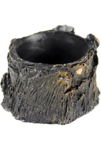 Kesoto Sürüngen Vivarium Terrarium Besleme Kase Kertenkele Gecko Su Solucan Besleyici # 16 (Yurt Dışından) Kesoto Sürüngen Vivarium Terrarium Besleme Kase Kertenkele Gecko Su Solucan Besleyici # 16 (Yurt Dışından)