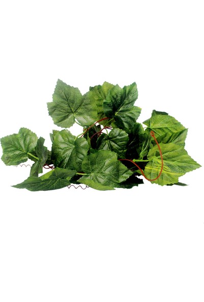 Kesoto Sürüngen Vivarium Dekorasyon Akvaryum Süsleme Yapay Üzüm Ivy Vines (Yurt Dışından) Kesoto Sürüngen Vivarium Dekorasyon Akvaryum Süsleme Yapay Üzüm Ivy Vines (Yurt Dışından)