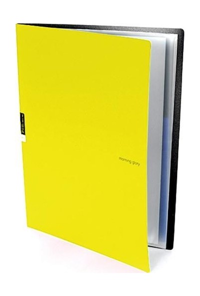 Morning Glory Sunum Dosyası Sarı 20'li