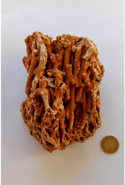 Hb Botanic 15-20 cm Dekoratif Akvaryum Doğal Makarna Kayası 4'lü