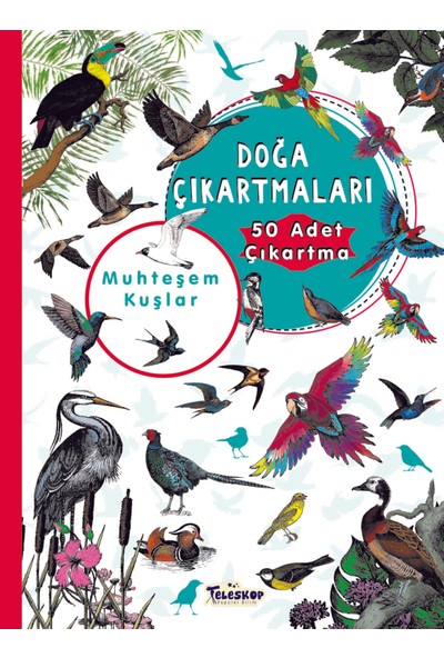 Muhteşem Kuşlar Doğa Çıkartmaları Muhteşem Kuşlar Doğa Çıkartmaları