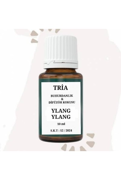 Ylang Ylang Buhurdanlık Kokusu Yağı Esansı 10 ml Ylang Ylang Buhurdanlık Kokusu Yağı Esansı 10 ml