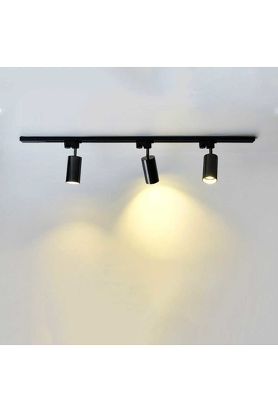 Cfr LED Siyah Kasa Beyaz Işık/gün Işığı 30WAT Raylı Spot / 2 Adet + 30 cm Metre Ray Cfr LED Siyah Kasa Beyaz Işık/gün Işığı 30WAT Raylı Spot / 2 Adet + 30 cm Metre Ray