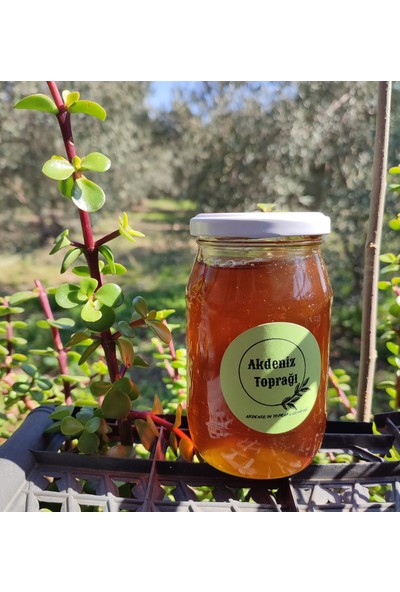 Çiçek Balı 700 gr