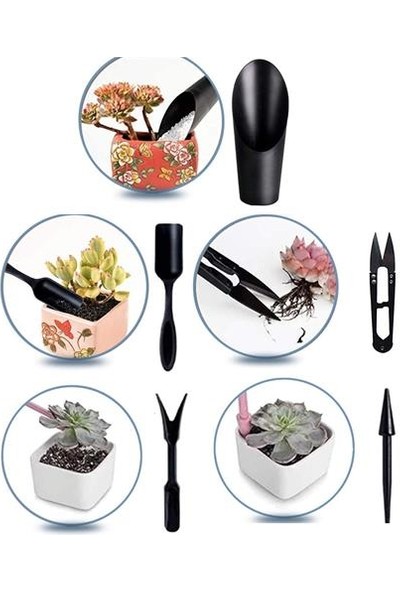 Transformacion Siyah Sukkulent Kaktüs Dikim Seti Transformacion Siyah Sukkulent Kaktüs Dikim Seti