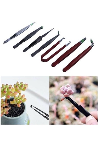 Transformacion Çiçek Bakım Kutulu Cımbız Seti