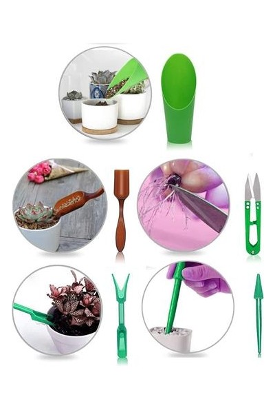 Transformacion Yeşil Sukkulent Kaktüs Dikim Seti Transformacion Yeşil Sukkulent Kaktüs Dikim Seti