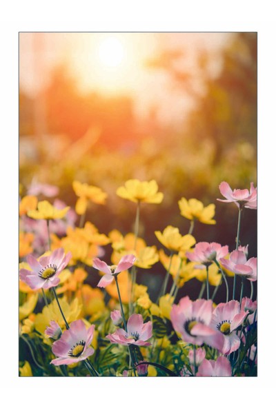 Duvar Dekor Çiçek Desenli Bulaşık Makinesi Sticker 006