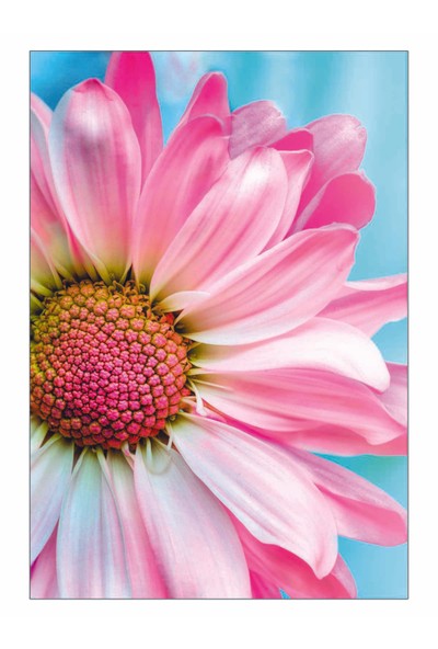 Duvar Dekor Çiçek Desenli Bulaşık Makinesi Sticker 039