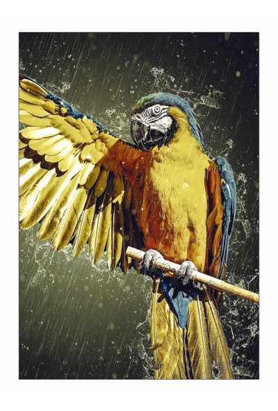 Duvar Dekor Papağan Bulaşık Makinesi Sticker 050