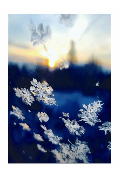 Duvar Dekor Bulaşık Makinesi Sticker 066