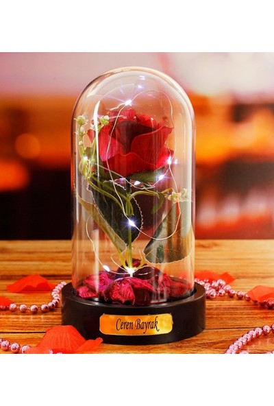 Herkese Toptantic Herkesetoptantic Kişiye Özel Tek Gül Tasarımlı Işıklı Fanus (Kırmızı)