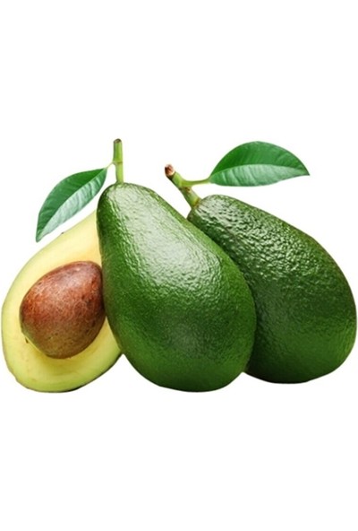 TnbyTech 5 Adet Avokado (250-300 Gr)