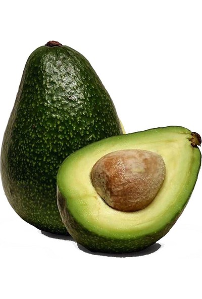 TnbyTech 10 Adet Avokado (200-350 Gr)