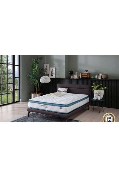 Bellona Soft Selection V-Guard Bellona Soft Selection V-Guard