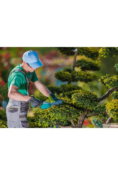 V Eğitim V Eğitim-Peyzaj Eğitimi Sertifika Programı(E Devlette Işli, Ü.onaylı, Uluslararası Geçerli) V Eğitim V Eğitim-Peyzaj Eğitimi Sertifika Programı(E Devlette Işli, Ü.onaylı, Uluslararası Geçerli)