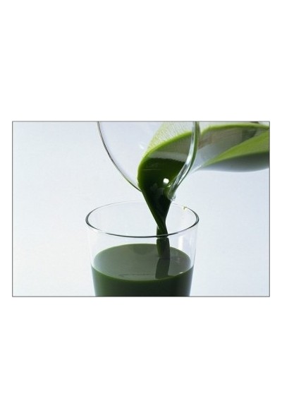 Yemmama Yeşil Midye Konsantresi 50 ml