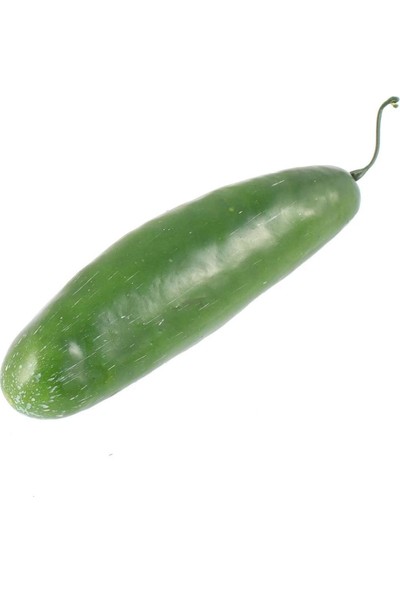 Nettenevime Yapay Sebze Salatalık Cucumber - 1 Adet (17 x 5 Cm)