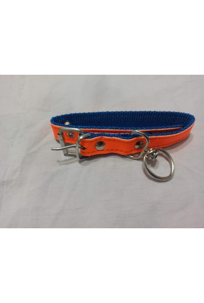 Kozak Yavru Irk Köpek Tasmasi Boy 45 cm En 2 cm Kozak Yavru Irk Köpek Tasmasi Boy 45 cm En 2 cm