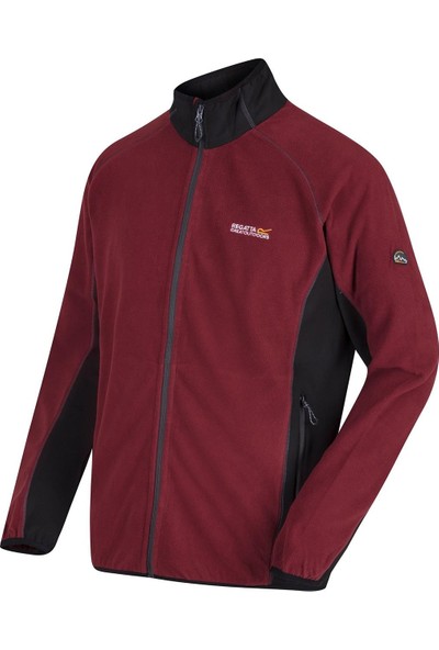 Regatta Ashton Erkek Polar-Bordo
