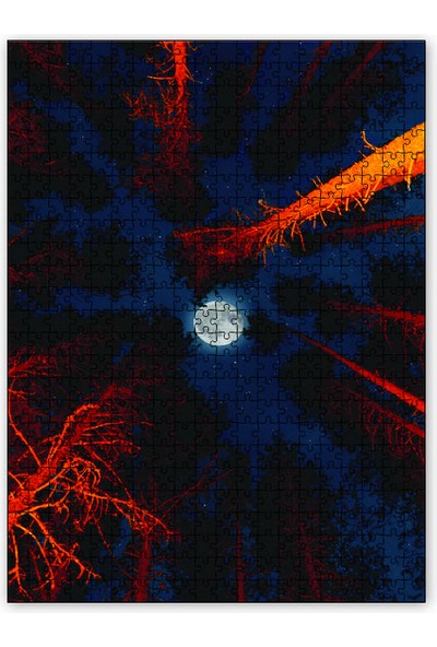 Cakapuzzle Orman Gece Kamp Ateşi ve Dolunay 255 Parça Puzzle Yapboz Mdf (Ahşap) Cakapuzzle Orman Gece Kamp Ateşi ve Dolunay 255 Parça Puzzle Yapboz Mdf (Ahşap)