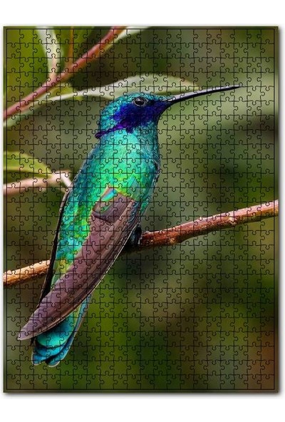 Cakapuzzle Daldaki Mavi Yeşil Sinekkuşu 1000 Parça Puzzle Yapboz Mdf (Ahşap) Cakapuzzle Daldaki Mavi Yeşil Sinekkuşu 1000 Parça Puzzle Yapboz Mdf (Ahşap)