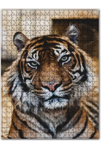 Cakapuzzle Yorgun Kaplan Yakın Çekim 1000 Parça Puzzle Yapboz Mdf (Ahşap)
