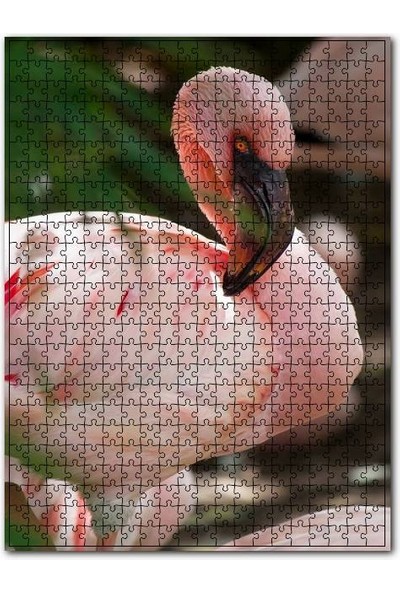 Cakapuzzle Pembeli Beyazlı Amerikan Flamingosu Görseli 1000 Parça Puzzle Yapboz Mdf (Ahşap) Cakapuzzle Pembeli Beyazlı Amerikan Flamingosu Görseli 1000 Parça Puzzle Yapboz Mdf (Ahşap)