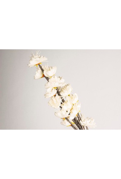 Mikasa Moor Pampas Mor Yapay Çiçek 110 cm Mikasa Moor Pampas Mor Yapay Çiçek 110 cm