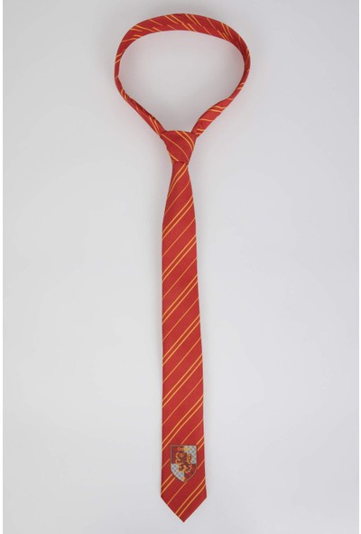 DeFacto Erkek Harry Potter Lisanslı Kravat W1599AZNS