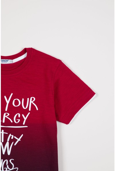 Tanem Erkek Çocuk Baskılı Tişört