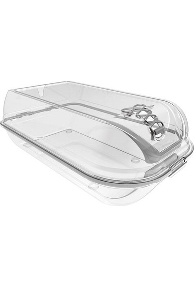 Transformacion Eloise Erkek Ayakkabı Saklama Kutusu Transformacion Eloise Erkek Ayakkabı Saklama Kutusu