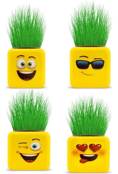 Rennway Çimoji 4 Figürlü Emoji Küp Çim Adam